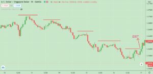 Ultimate Guide to Stop-loss Order—Hidden Tricks to Set It