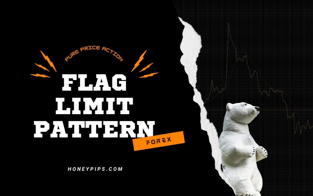 FTR & FTB: The Most Powerful Patterns of Forex Trading – HoneyPips
